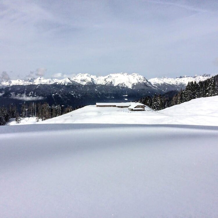 Snowshoes - Baita del Vécio - Malga Fossetta - Cereda Pass - PRIMIERO SAN
